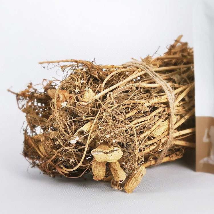 OptiGrow – Food Art Store